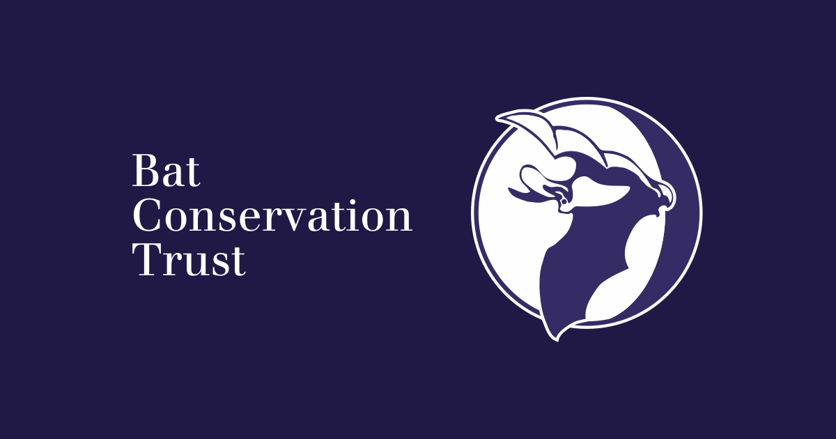 What is a roost? - Bat roosts - Bat Conservation Trust
