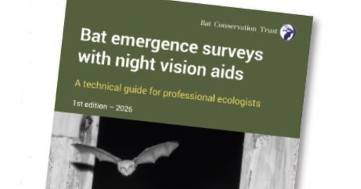 Bat emergence surveys with night vision aids - technical guide and ...