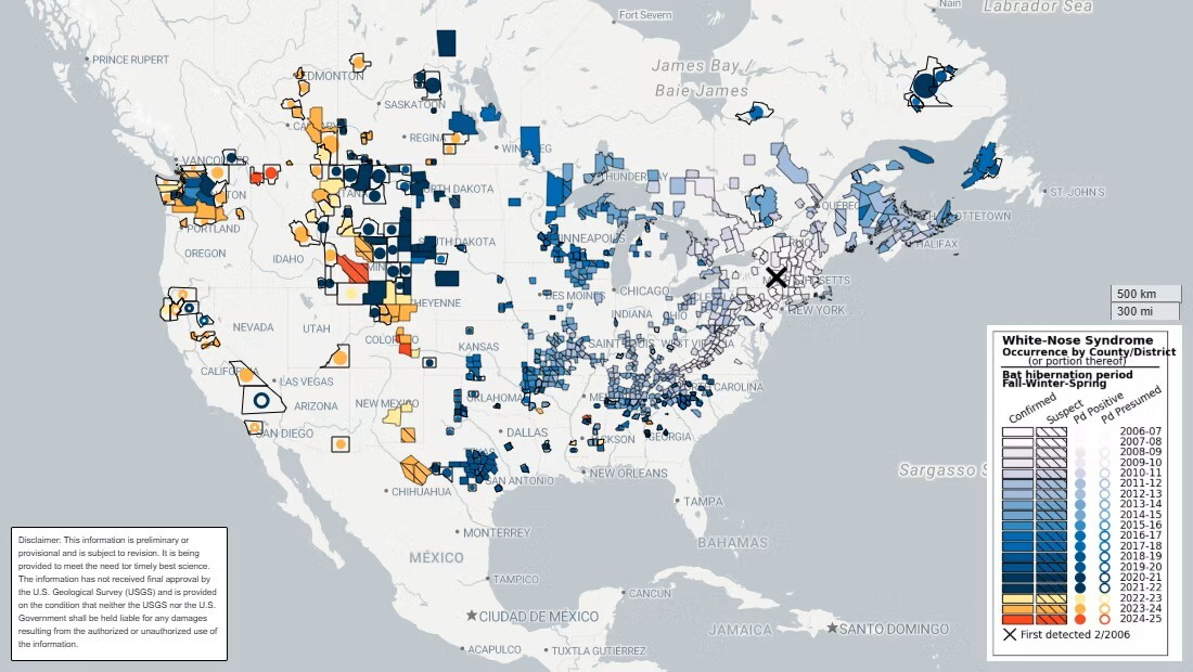 Overview - White-nose syndrome - Bat Conservation Trust
