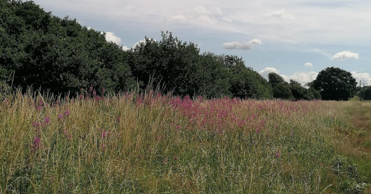 Connecting People and Landscapes - Project collaborations ... Connecting People and Landscapes - Project collaborations ...