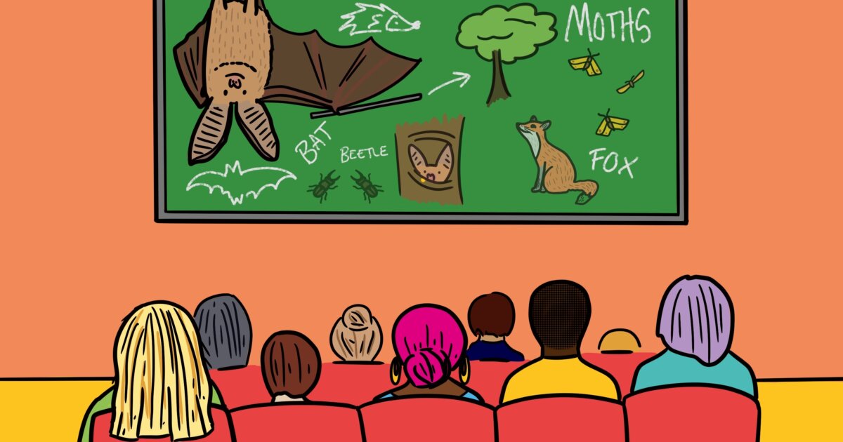 Learn more about night-time nature - Resources for NightWatchers - Bat ...