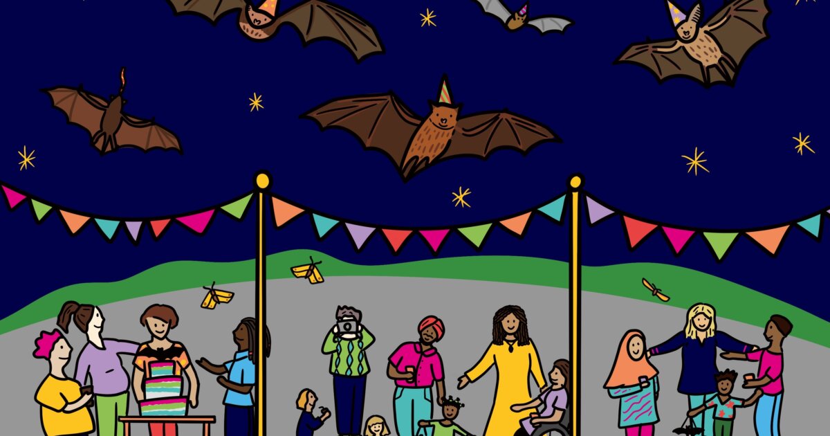 Celebrating night-time nature - Resources for NightWatchers - Bat ...