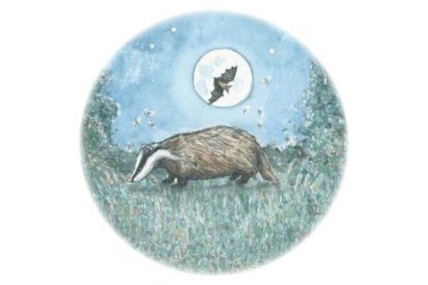 Books, Music and other gifts - Gifts - Bat Conservation Trust
