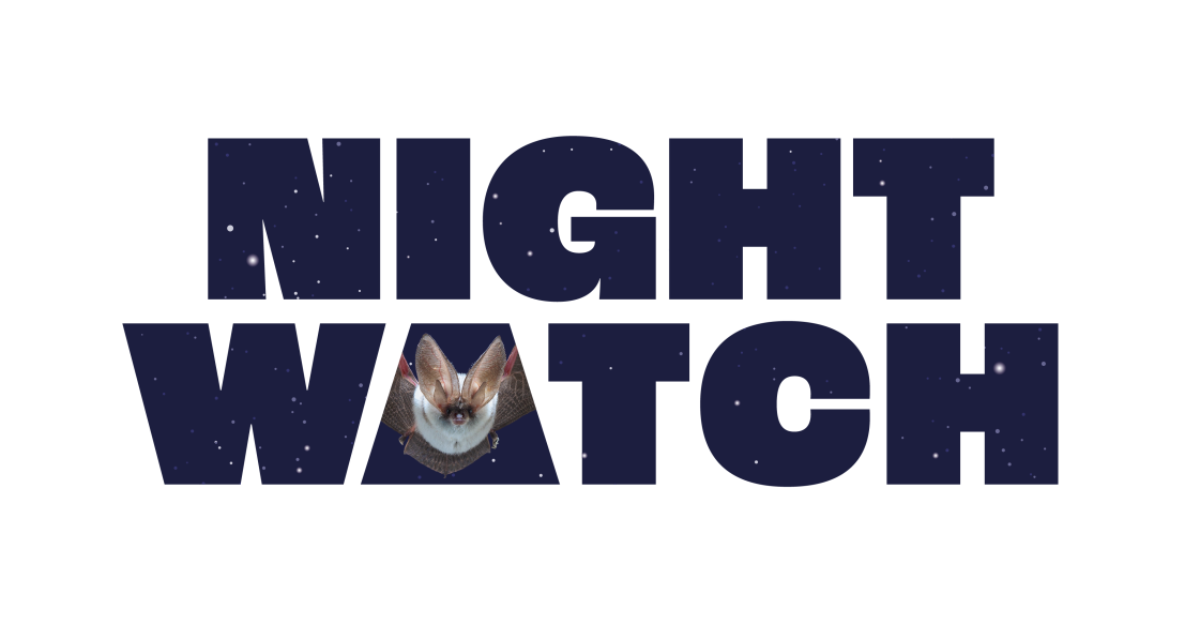 NightWatch Survey - Passive acoustic surveys - Bat Conservation Trust