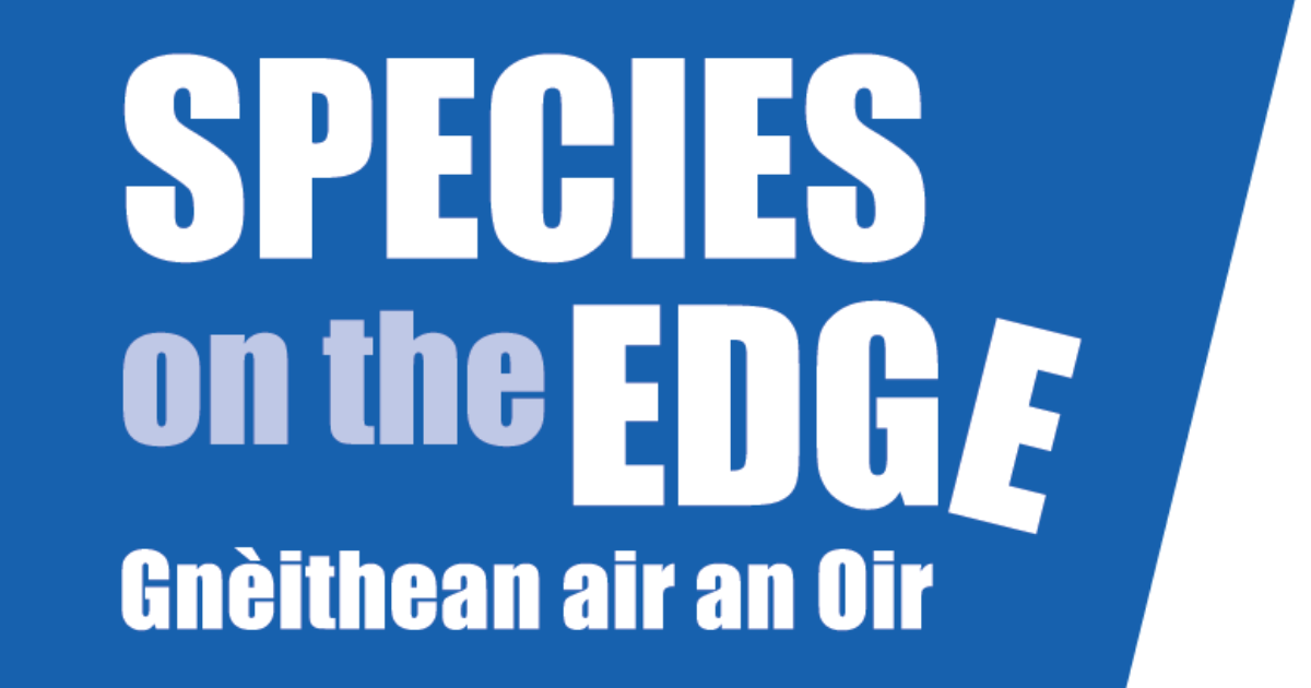 Species on the Edge - In Scotland - Bat Conservation Trust