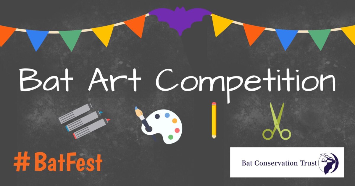 BCT Hall of Fame - BatFest - Bat Conservation Trust