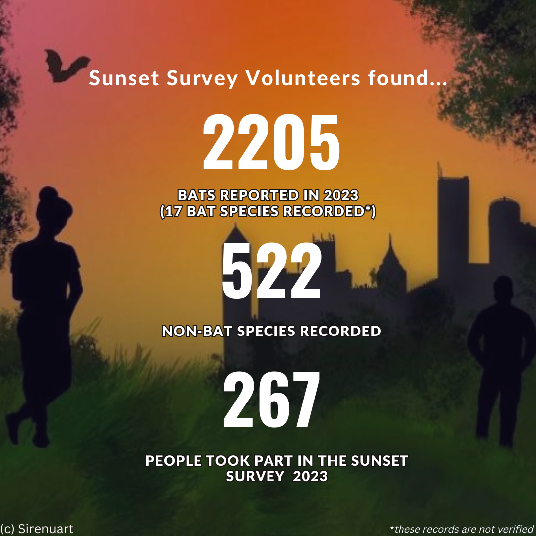 What our volunteers found in 2023! - Getting started - Bat Conservation ...